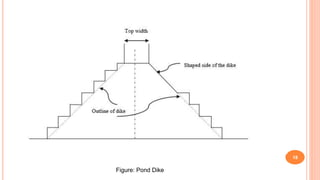 CONSTRUCTION OF FISH POND | PPTX