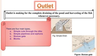 CONSTRUCTION OF FISH POND | PPTX