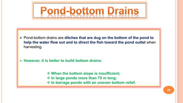CONSTRUCTION OF FISH POND | PPTX | Fish and Aquariums | Pets