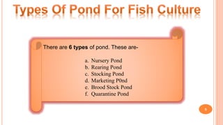 CONSTRUCTION OF FISH POND | PPTX