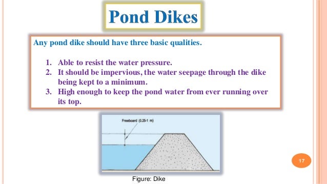 CONSTRUCTION OF FISH POND
