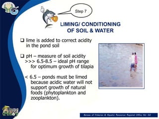 Pond Development & Construction.ppt