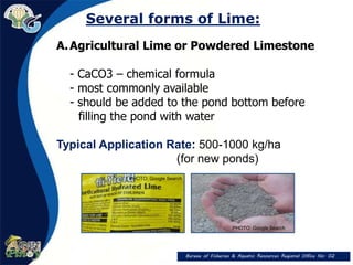 Pond Development & Construction.ppt
