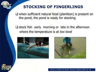 Pond Development & Construction.ppt