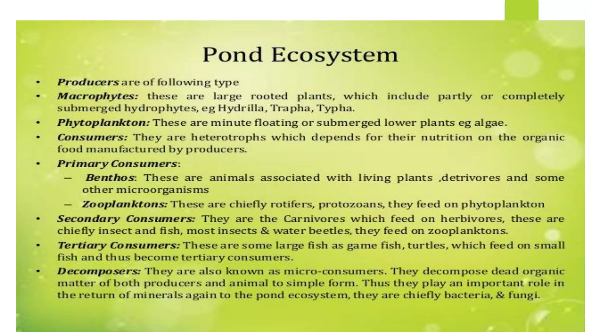 Pond ecosystem | PDF