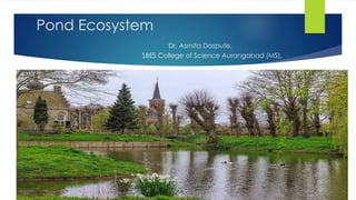 Pond Ecosystem Project