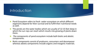 Pond ecosystem | PDF