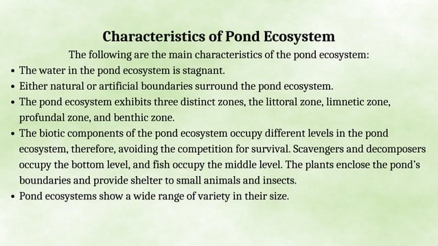 Pond Ecosystem.pdf