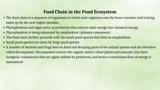 Pond Ecosystem.pdf
