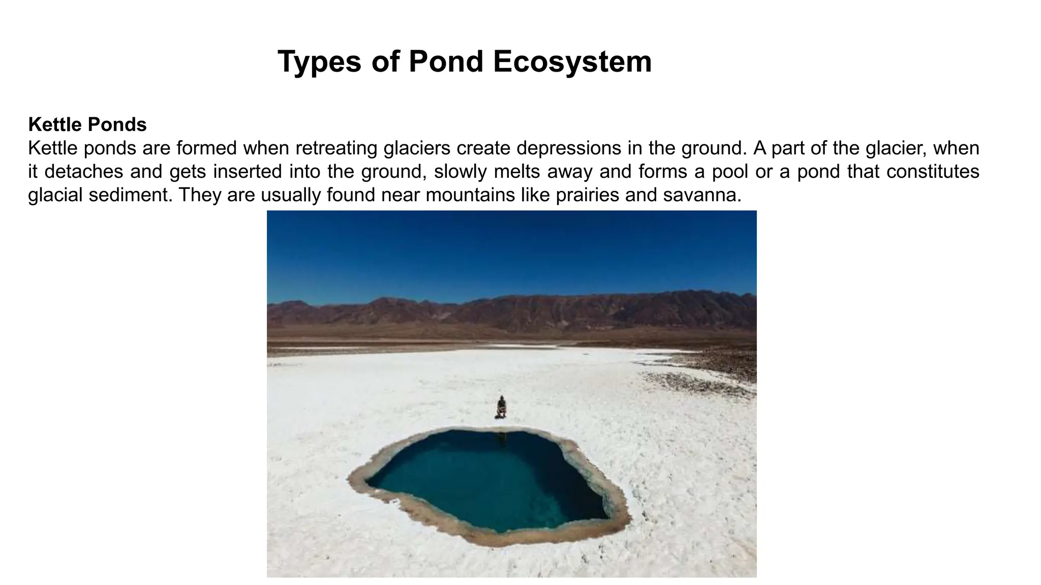 Pond Ecosystem 1349878487848484888484.pptx | Geography | Science
