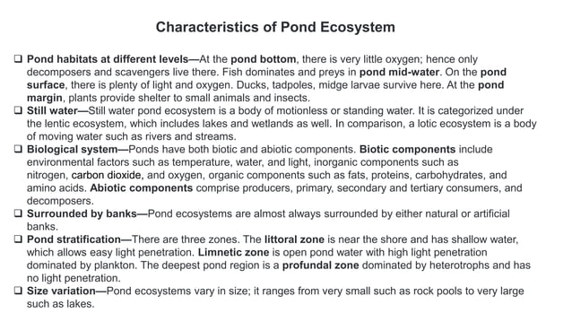 Pond Ecosystem 1349878487848484888484.pptx | Geography | Science