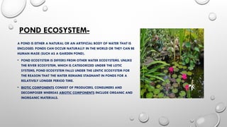 pond ecosystem.pptx. explains basic points about pond ecosystem | PPTX