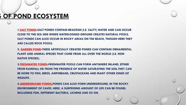 pond ecosystem.pptx. explains basic points about pond ecosystem | PPTX