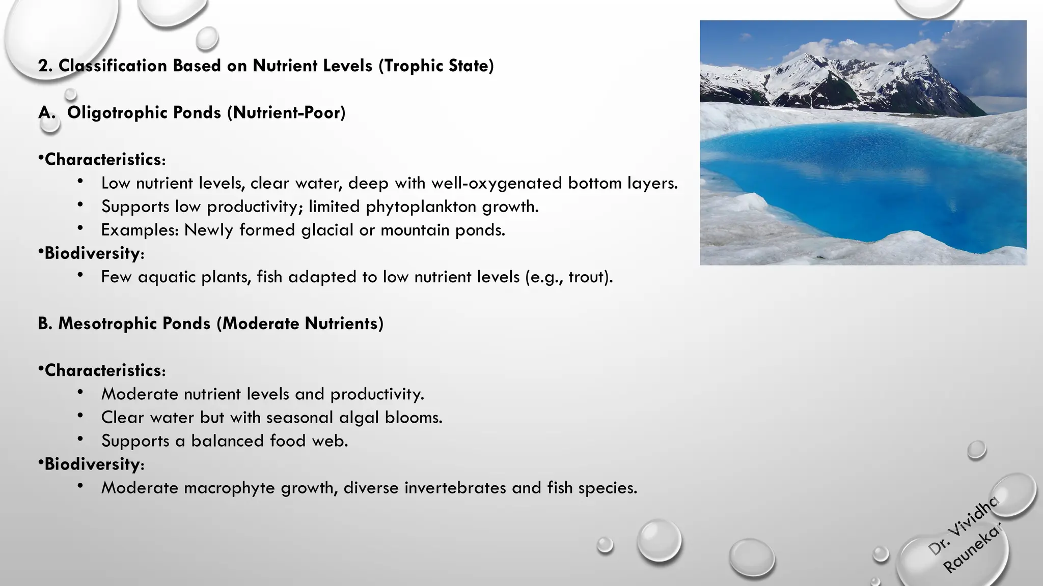 pond ecosystem- self-contained, freshwater ecosystem | PPTX