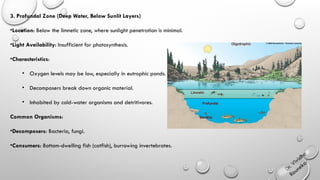 pond ecosystem- self-contained, freshwater ecosystem | PPTX