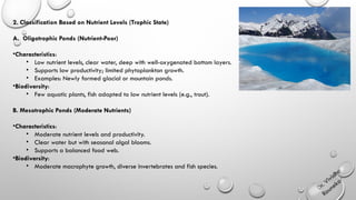 pond ecosystem- self-contained, freshwater ecosystem | PPTX