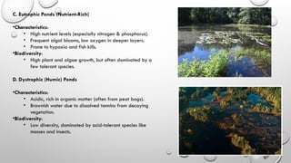 pond ecosystem- self-contained, freshwater ecosystem | PPTX
