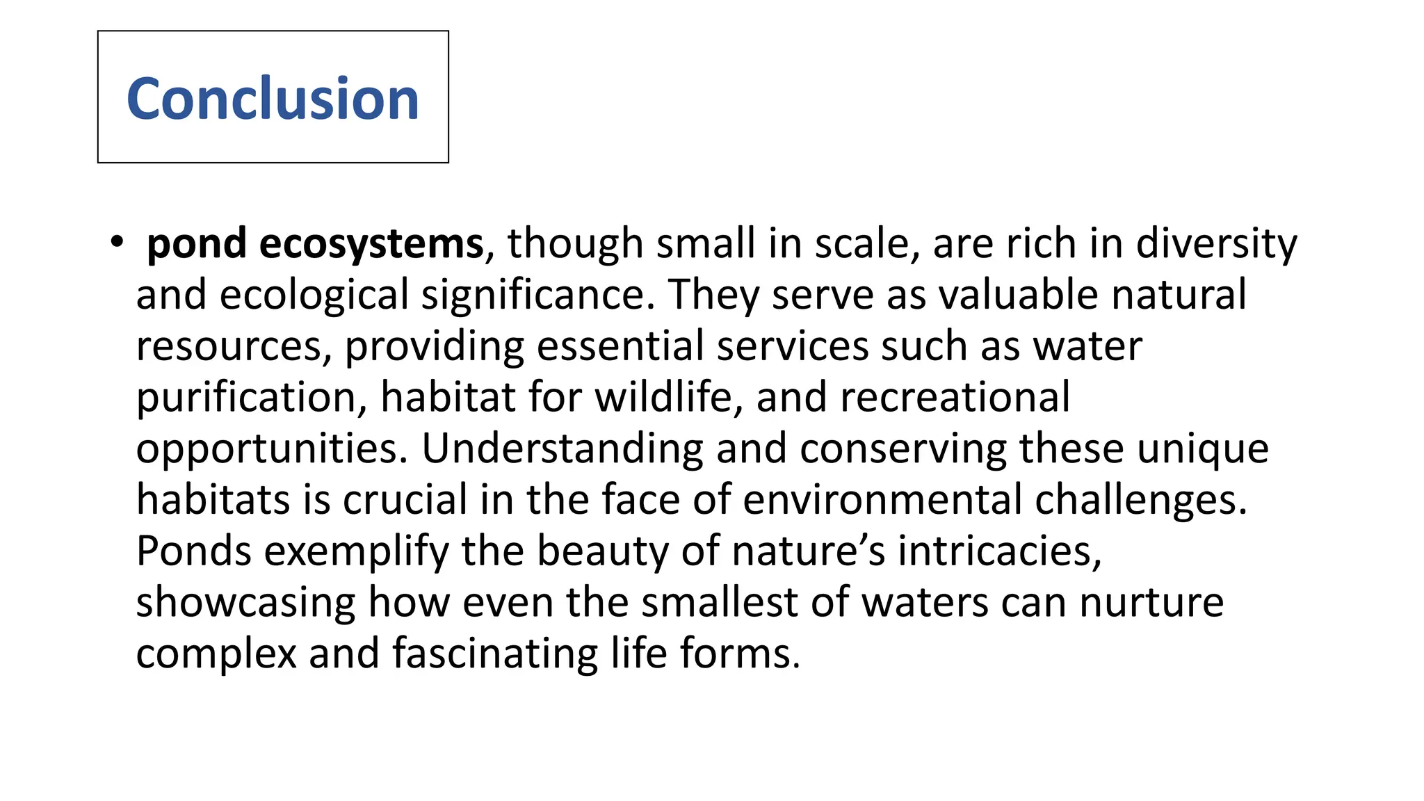 Pond Ecosystem ---- by AshishVerma1.pptx