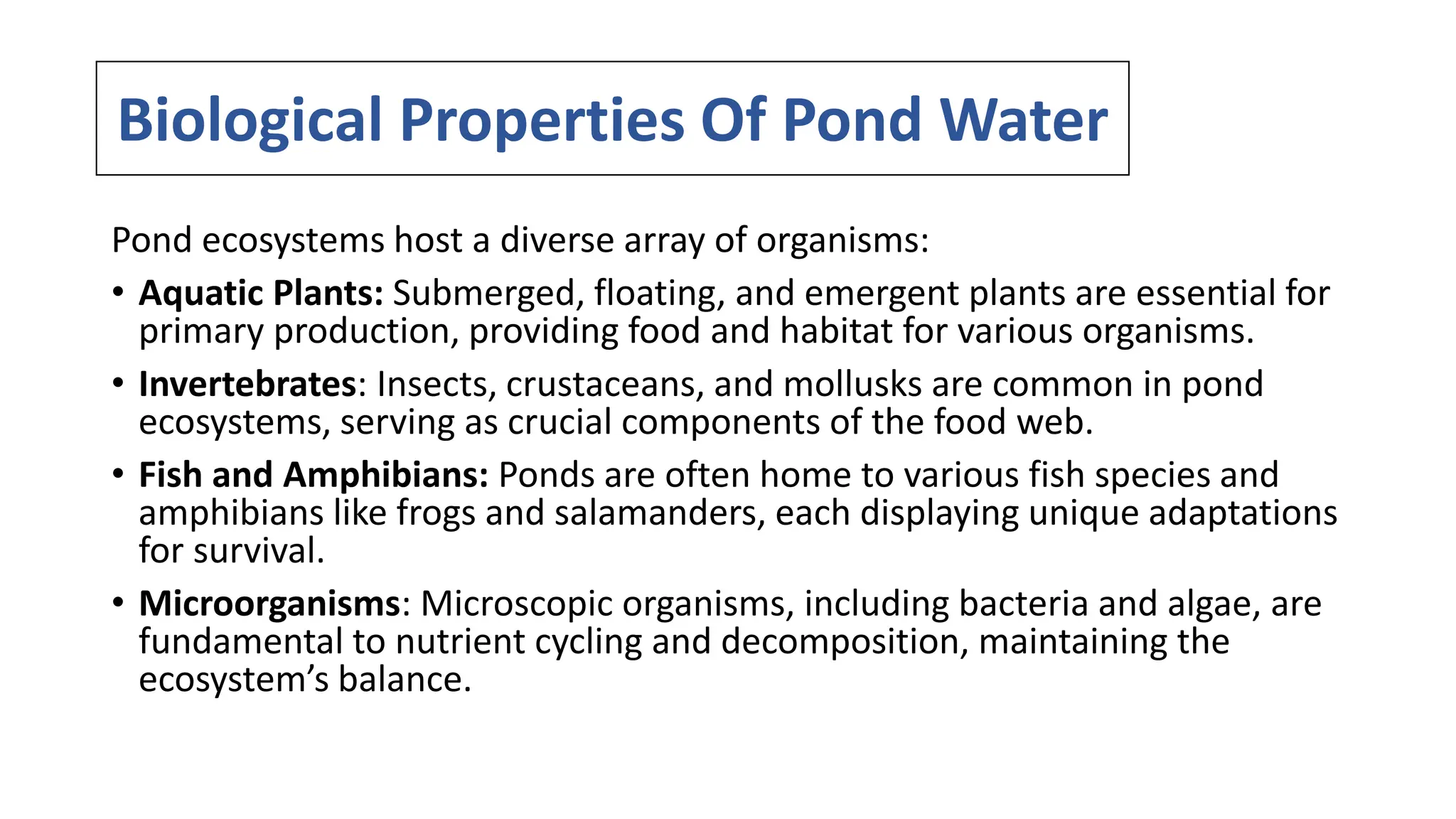 Pond Ecosystem ---- by AshishVerma1.pptx