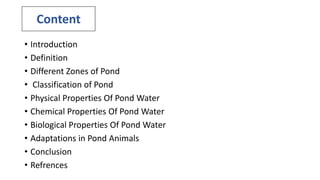 Pond Ecosystem ---- by AshishVerma1.pptx