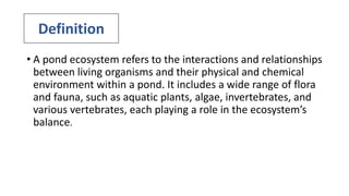 Pond Ecosystem ---- by AshishVerma1.pptx