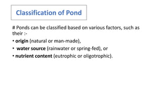 Pond Ecosystem ---- by AshishVerma1.pptx