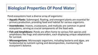 Pond Ecosystem ---- by AshishVerma1.pptx