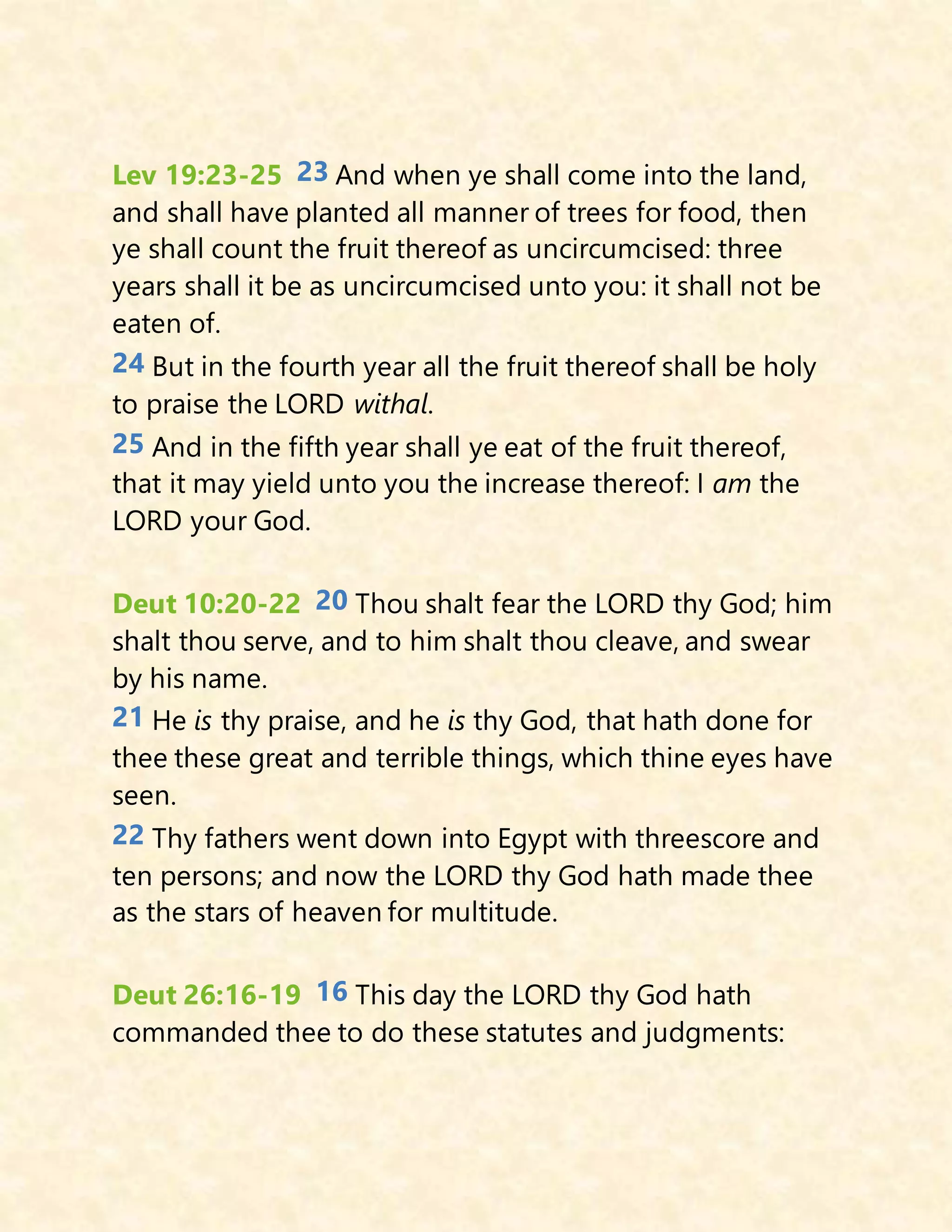 Pondering Praise | DOCX
