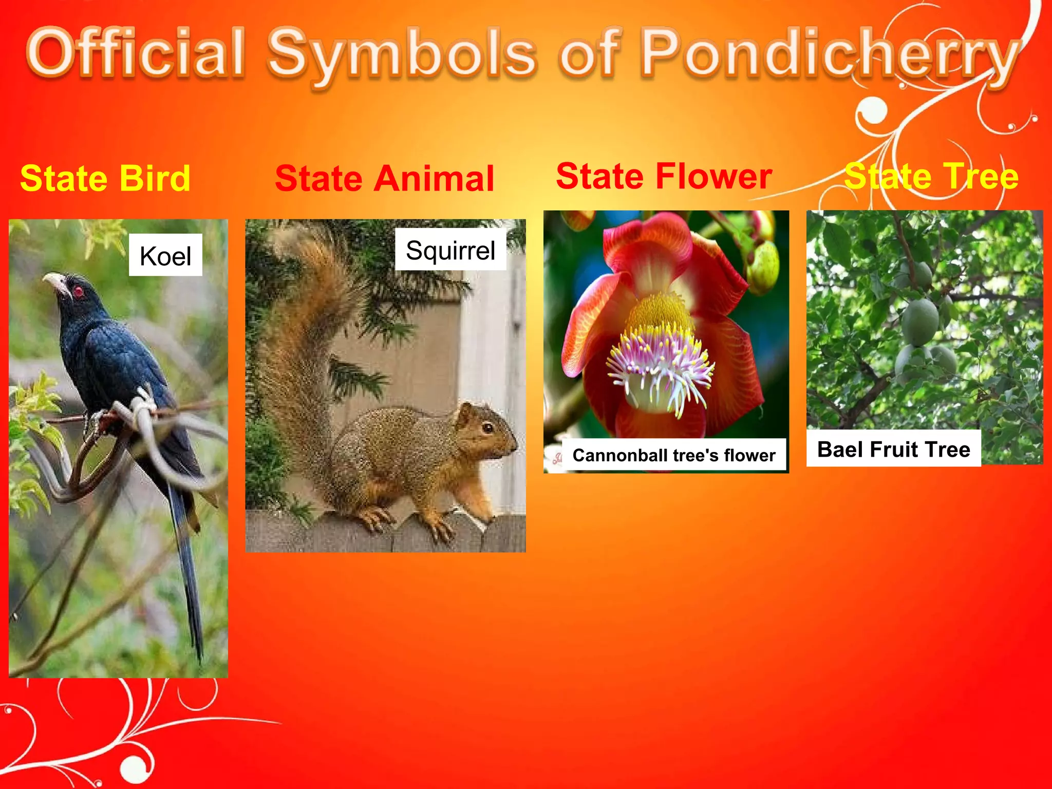 Pondicherry | PPT