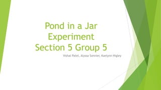 Pond in a jar experiment | PPTX