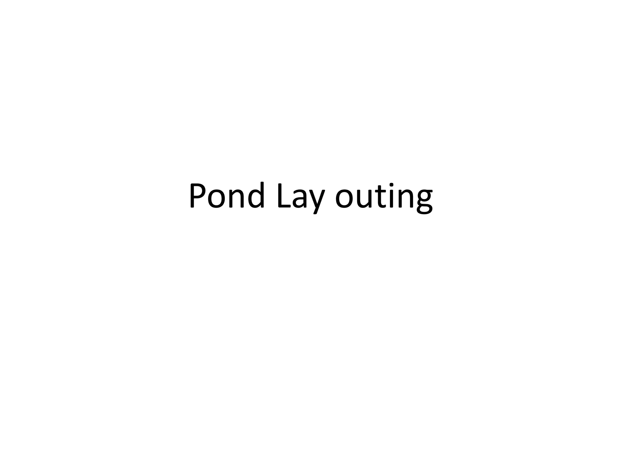 Pond Layouting.pptx