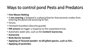 POND PREDATORS | PPTX