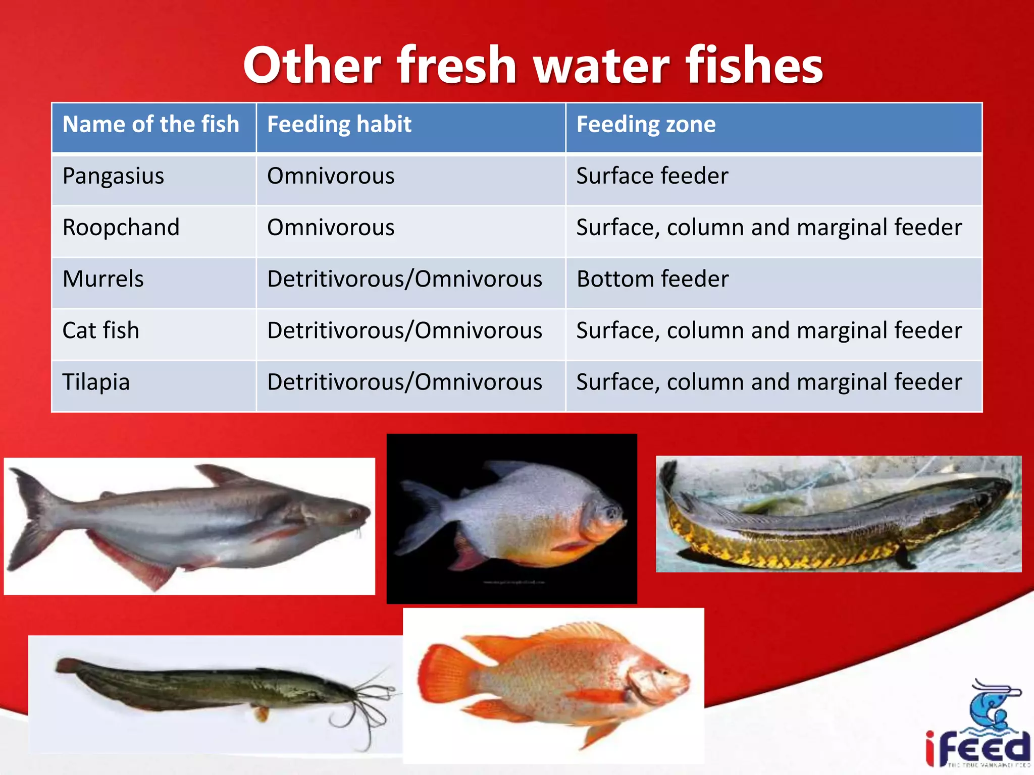 Pond preparation and management.pptx