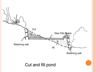 Ponds | PPTX