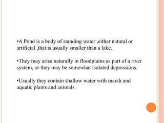 Ponds | PPTX