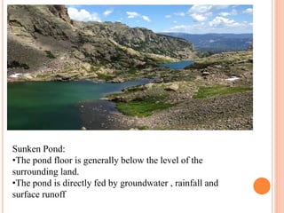 Ponds | PPTX