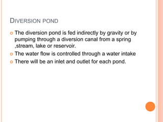 Ponds | PPTX