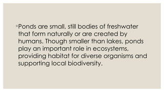 Ponds, short presentation for school.pptx