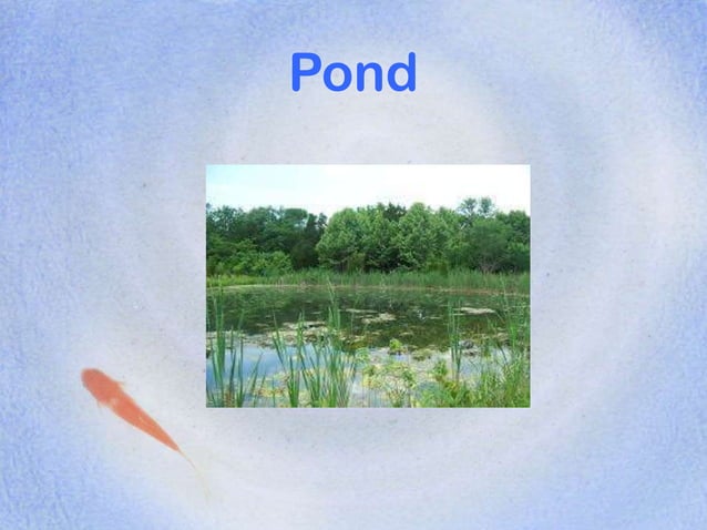 2018 Ponds and Lakes | PPT | Geography | Science