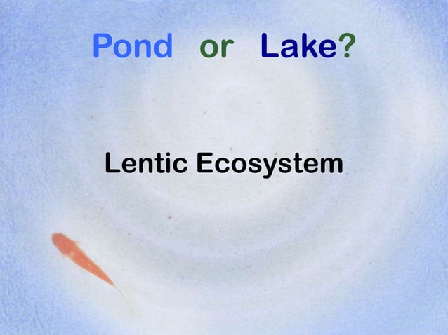 2018 Ponds and Lakes | PPT | Geography | Science
