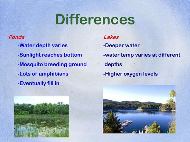 2018 Ponds and Lakes | PPT | Geography | Science