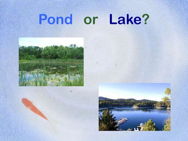 2018 Ponds and Lakes | PPT | Geography | Science