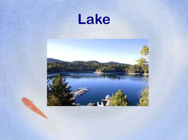 2018 Ponds and Lakes | PPT | Geography | Science