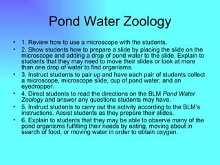 Pond Water | PPT