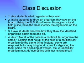 Pond Water | PPT