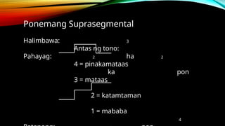 Ponema Segmental at Suprasegmental .pptx