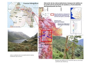 Diversidad biológica, ecosistemas y adaptaciones al cambio climático en ...