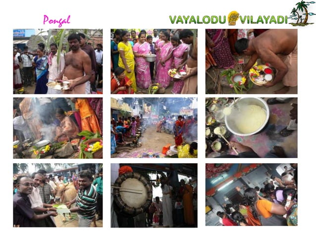 Pongal activity- Vayalodu vilayadi | PPT