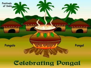 Pongal Festival - Compressed File.pptx