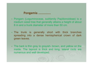 Pongamia pinnata | PDF